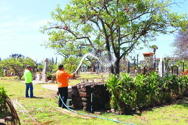 Landscaping experts ask residents to keep healthy trees after fire ...